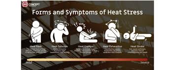 Keeping Cool and Safe: Heat Stress Safety Tips for Workers - elhs.co.uk